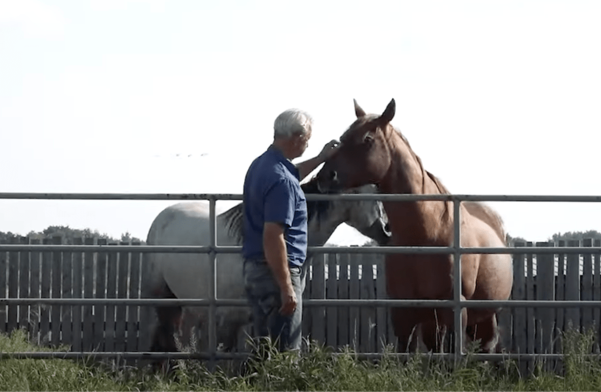 The Flames’ Darryl Sutter Family Ranch Video is Awesome – The Morning Skate